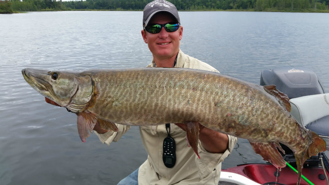 #1 Tip For Muskie Fishing From Professional Musky Guides
