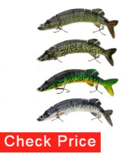 Unleash the Beast: 10 Best Musky Lures You Need to Try NOW!