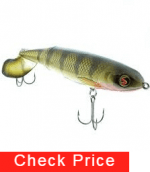 Unleash the Beast: 10 Best Musky Lures You Need to Try NOW!